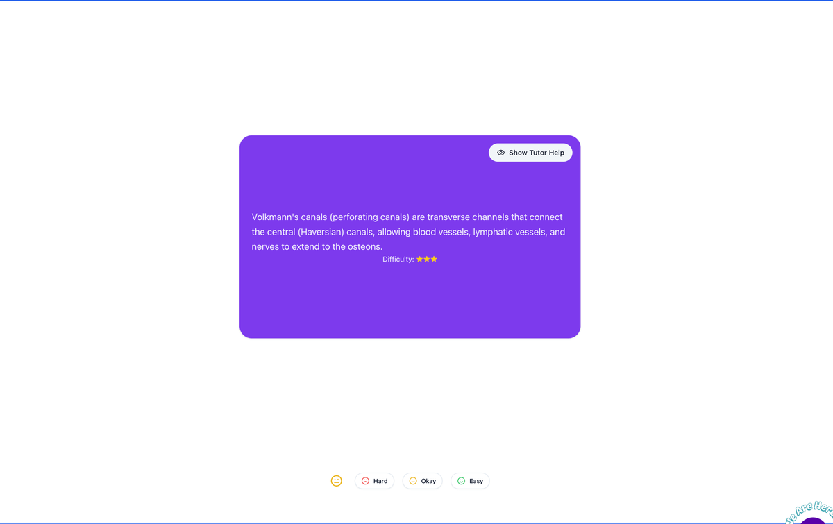 Get good grades with AI Study Guide Maker.